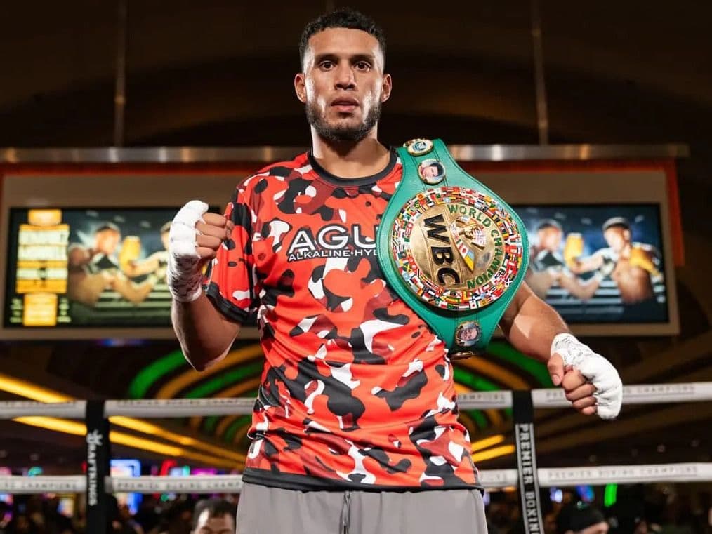 Devin Haney | The Ring Profile – Stats & Record